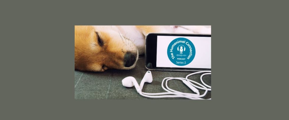 Humanimal Connection Series 2 launching on 17 January 22 - Humanimal Trust